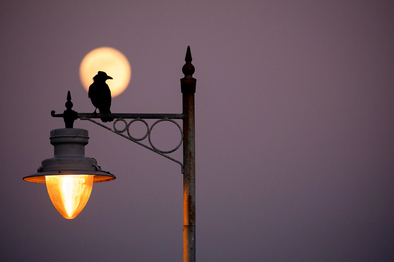 The Magic of Light: Understanding Lighting in Photography - JD Institute