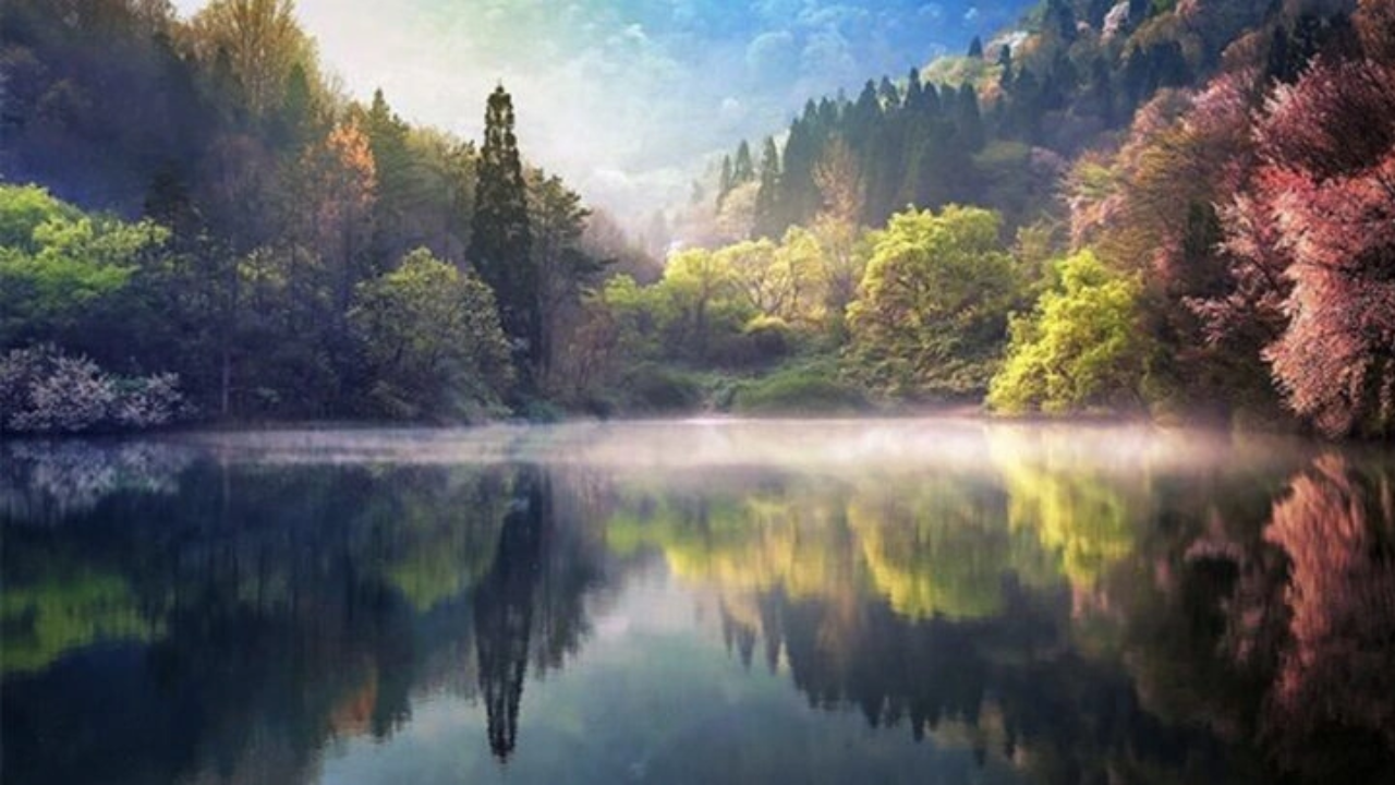 The Magic of Light: Understanding Lighting in Photography - JD Institute